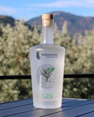 Indigenous World Spirits | The Alchemist